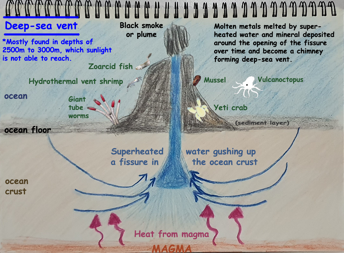 I am a Young Scientist: Featured project - deep sea vent by Lovelle Goh
