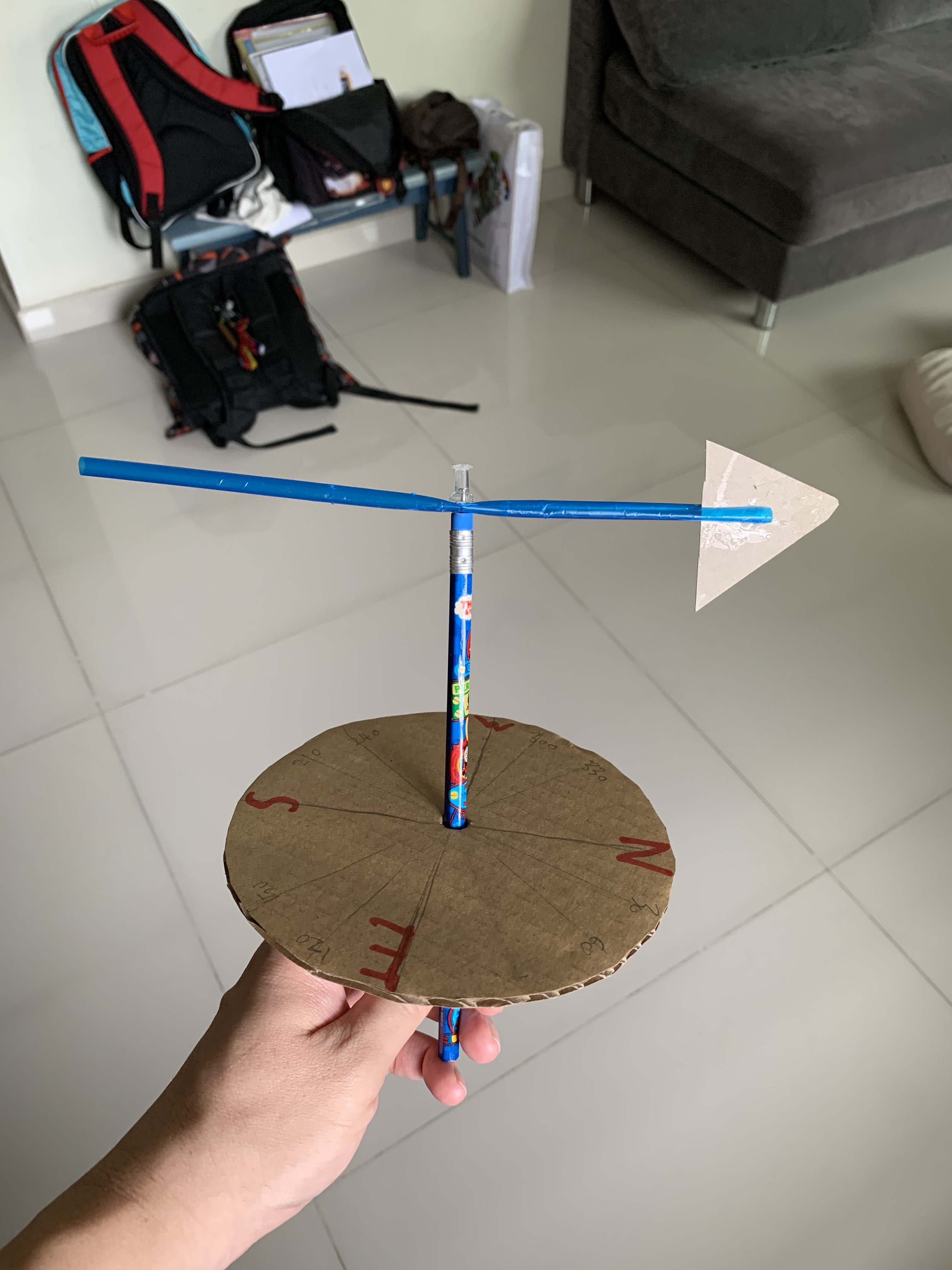 I am a Young Scientist: Featured project Wind Vane by Titus Lau