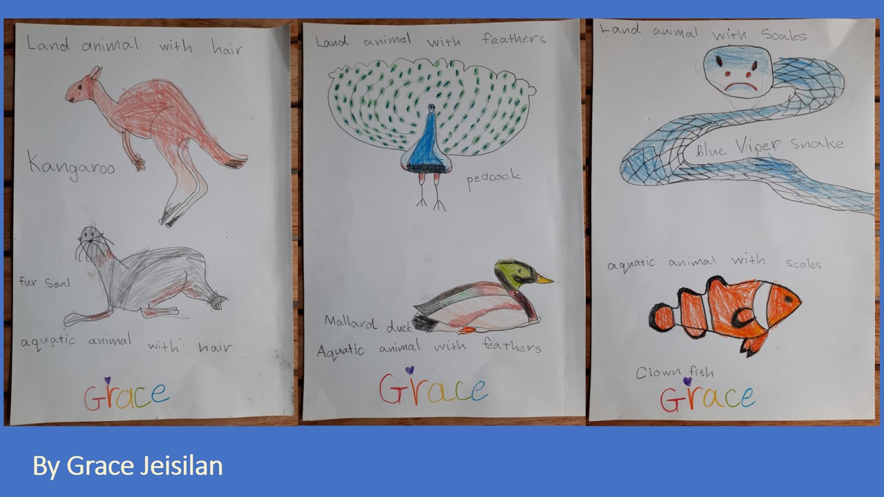 I am a Young Scientist: Featured project - all kinds of animals by ...