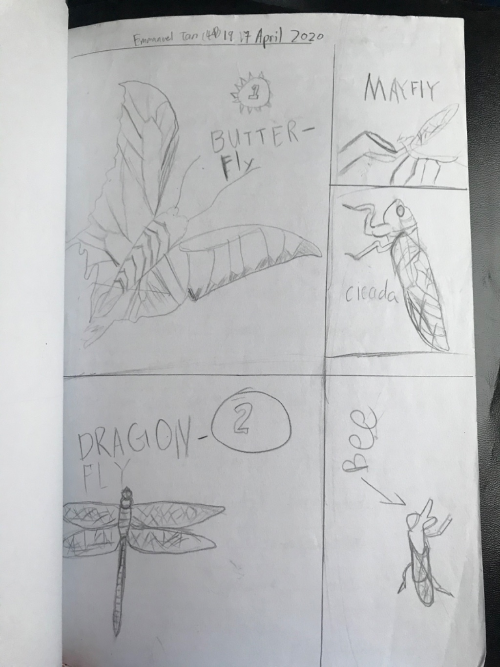 Featured projects: Mad drawing skillz - Emmanuel Tan