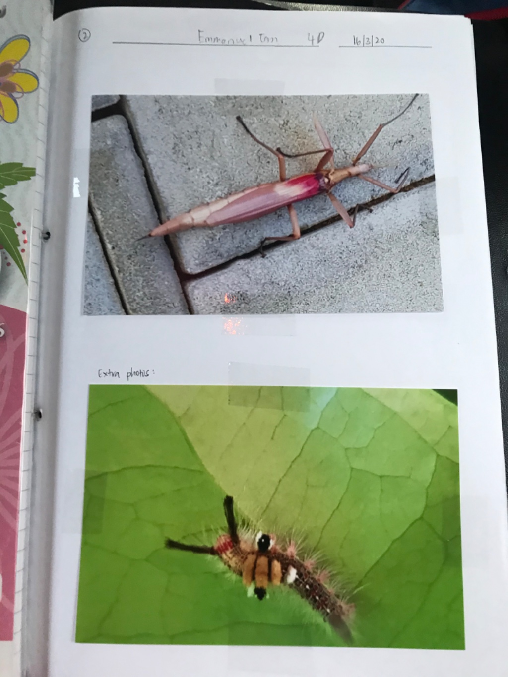 Featured projects: Mad drawing skillz - Emmanuel Tan