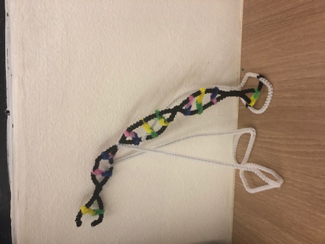 Featured projects: DNA's next top model - Samuel Teo